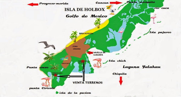 Guía de Holbox
